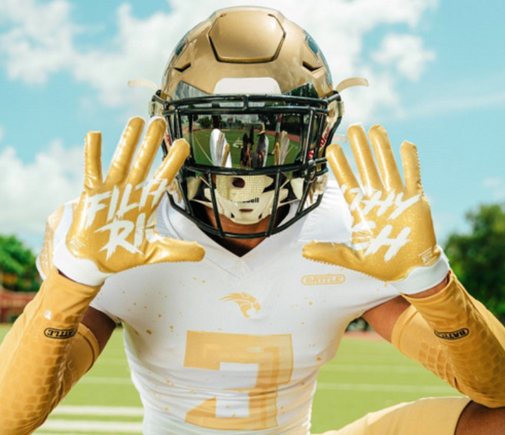 "Filthy Rich" Receiver Football Gloves - Adult – Football Depot